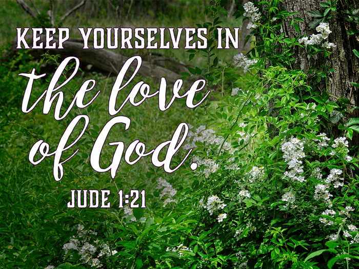 Bibles, Bible Teaching, Gospel Calendars and More - Bible Truth Publishers