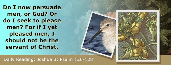 Bibles, Bible Teaching, Gospel Calendars and More - Bible Truth Publishers