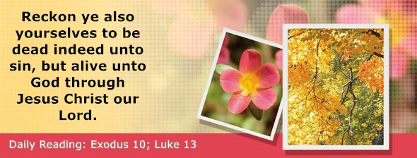 Bibles, Bible Teaching, Gospel Calendars and More - Bible Truth Publishers