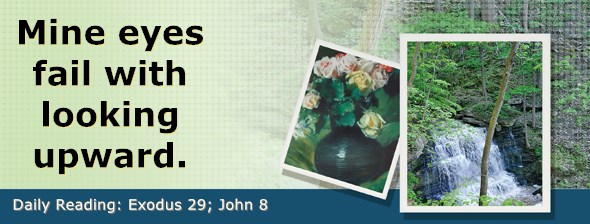 Bibles, Bible Teaching, Gospel Calendars and More - Bible Truth Publishers