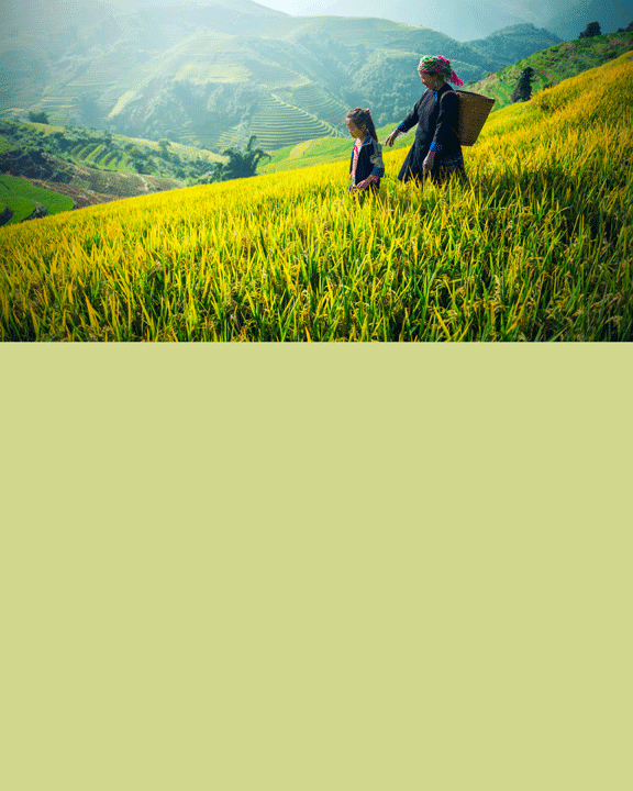 Gospel for Many Tongues - Bible Truth Publishers