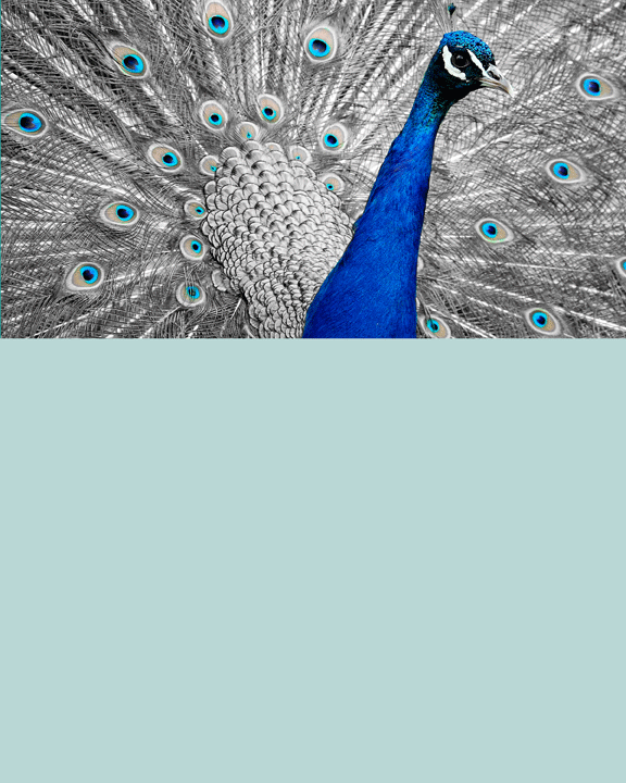 Gospel for Many Tongues - Bible Truth Publishers