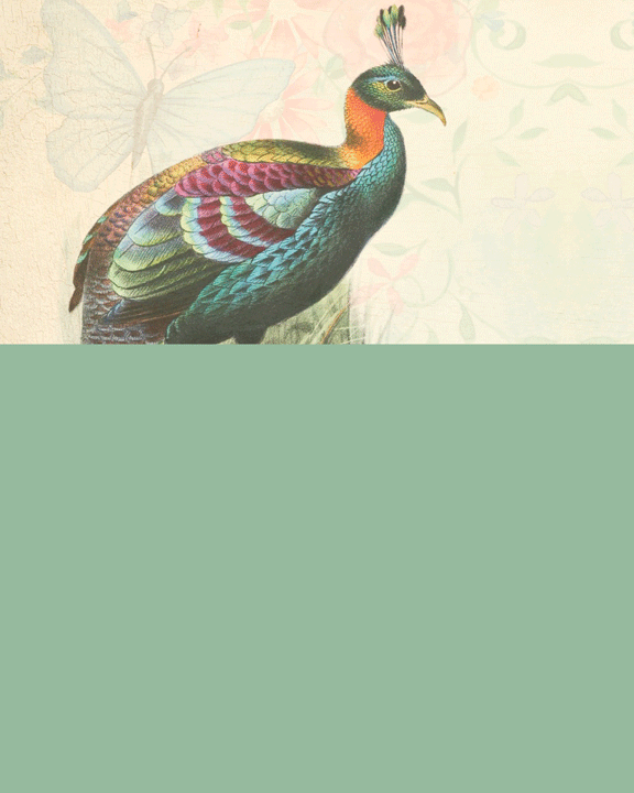 Gospel for Many Tongues - Bible Truth Publishers