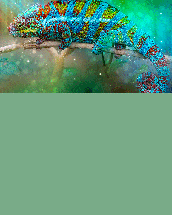 Gospel for Many Tongues - Bible Truth Publishers